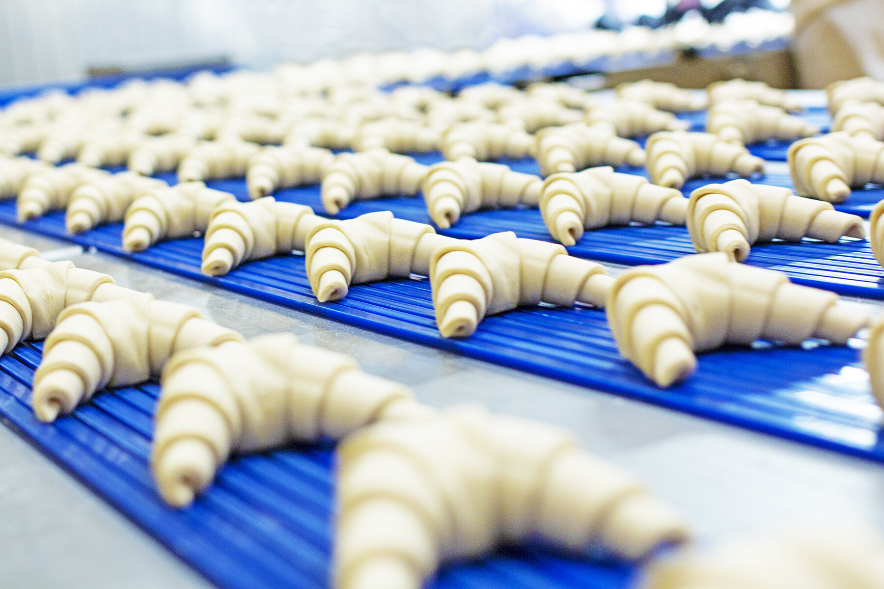 Industrial Croissant Line - Any Shape & Filling | Rademaker